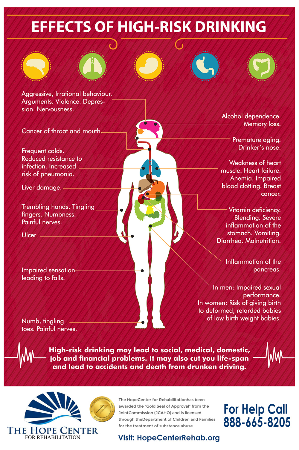 The Effects of High-Risk Drinking – Alcohol Awareness