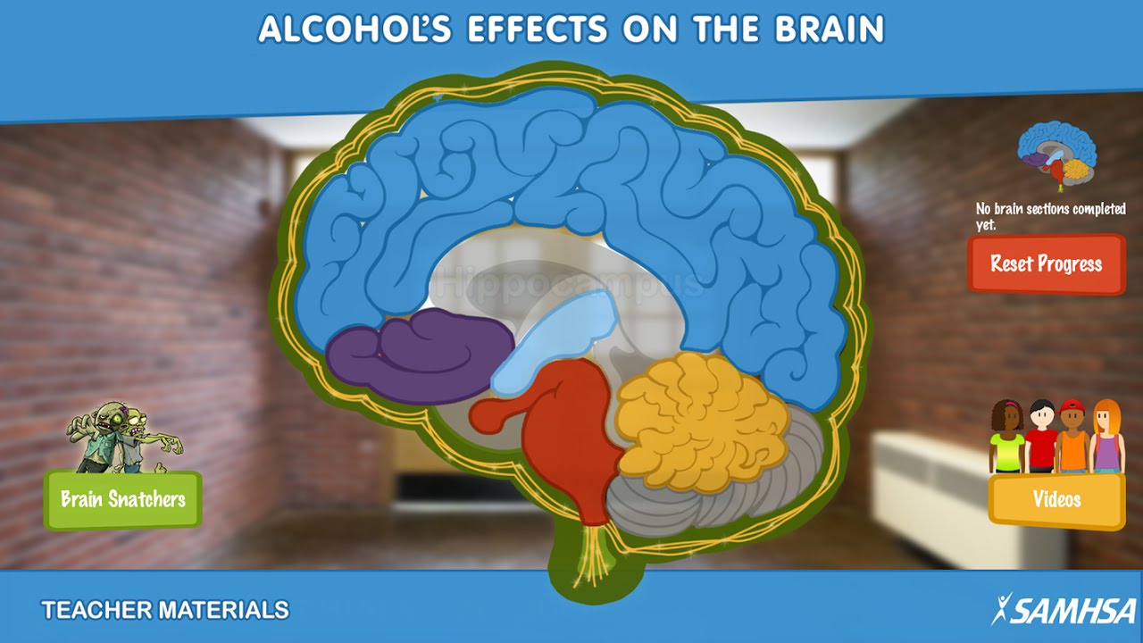 AlcoholFX Mobile App – Alcohol Awareness