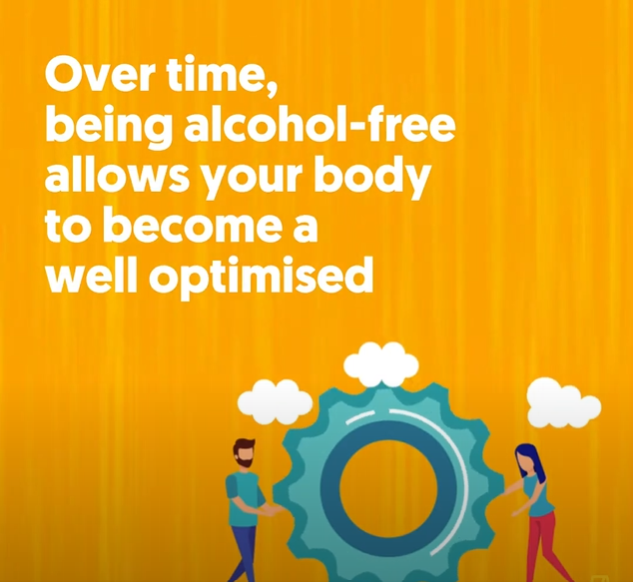 Quitting Alcohol – Drinking vs Not Drinking – Alcohol Awareness