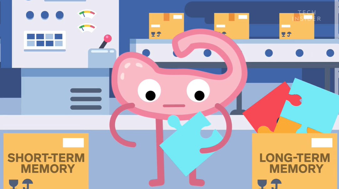 Here’s what happens to your brain when you get blackout drunk – Alcohol ...