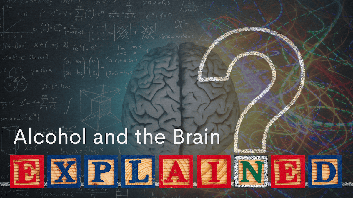 Alcohol and the Brain: Explained – Alcohol Awareness